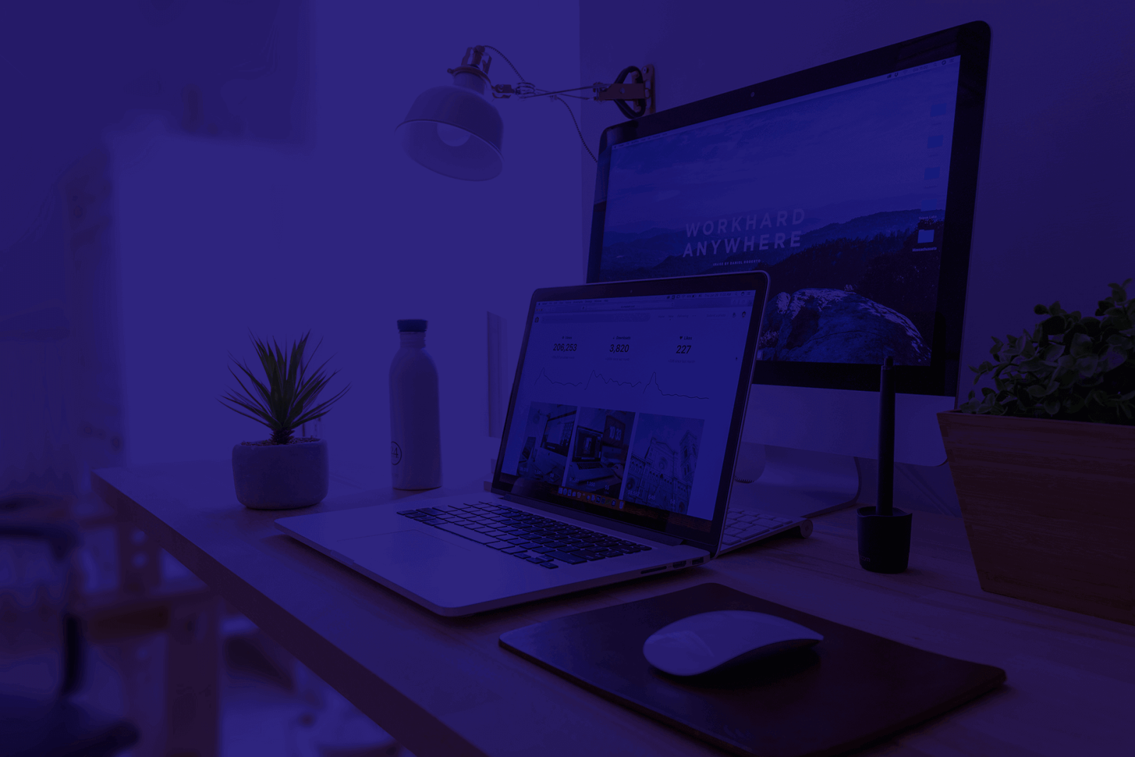 Custom Website & Software Design - Pahappa