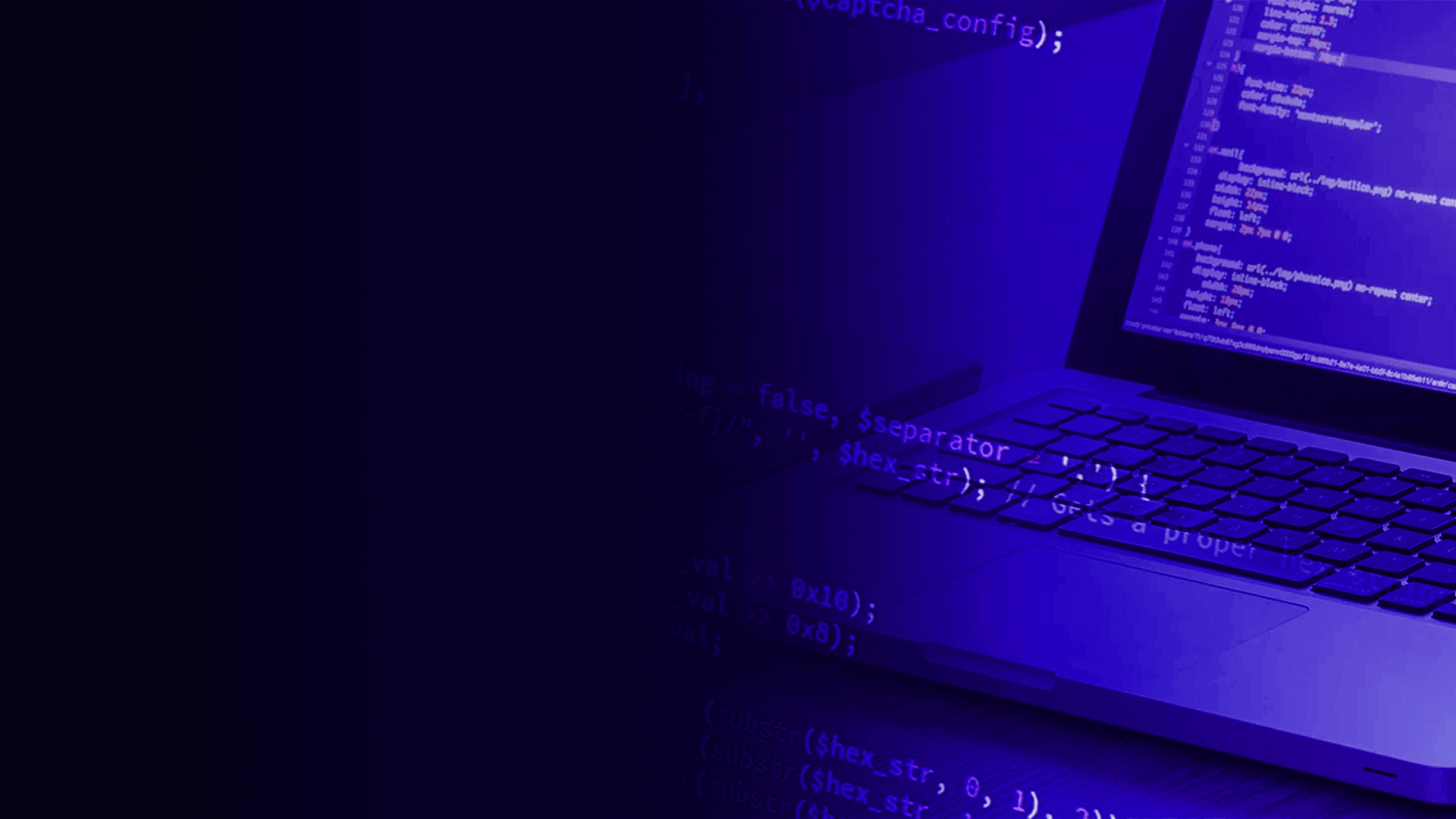 Custom Website & Software Design - Pahappa